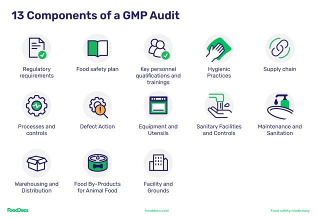 A Guide to GMP Audits with Free GMP Audit Checklist PDF