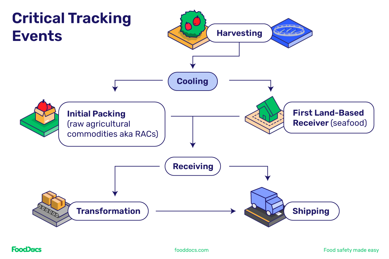 Food Traceability Rule Guide: How to Meet FSMA 204 Compliance in 8 Steps