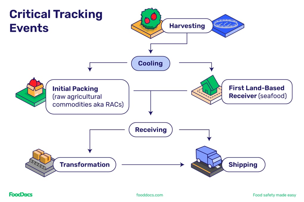 Food Traceability Rule Guide: How to Meet FSMA 204 Compliance in 8 Steps