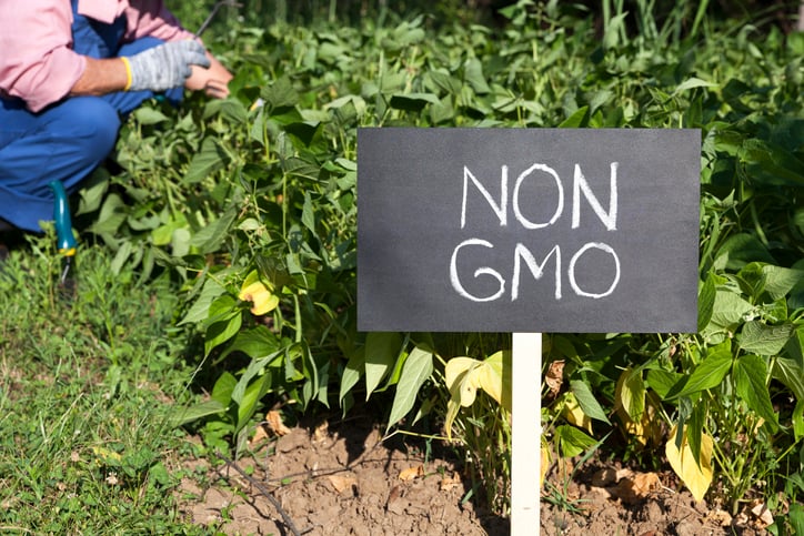 What's Non-GMO Project Verification? How to Get Non-GMO Certification
