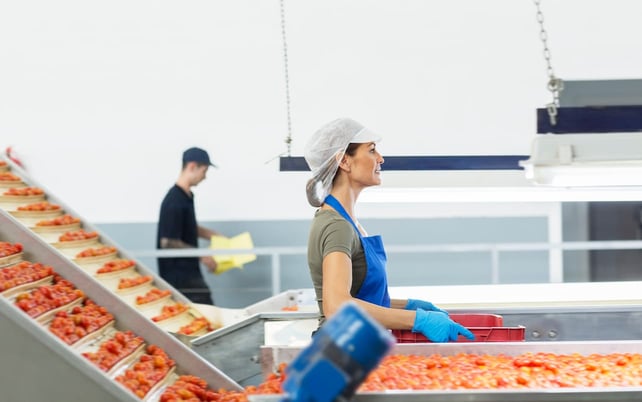 Food Safety Hair Rules? Who is Required to Wear a Hair Restraint While ...