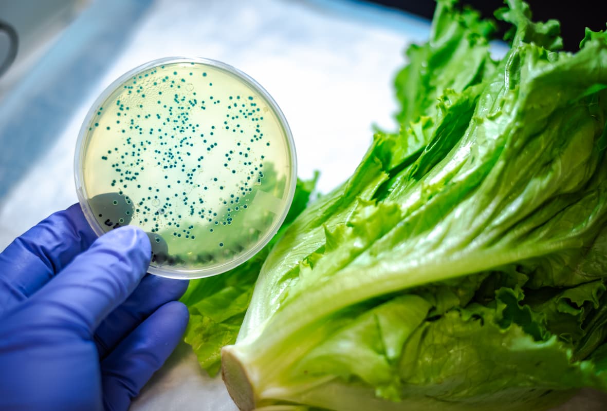 Understanding Food Pathogens: How to Prevent Foodborne Pathogens