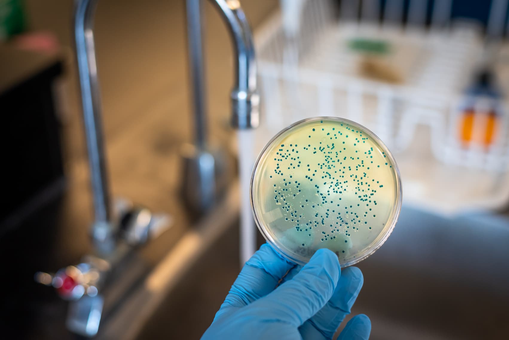 Understanding Food Pathogens: How to Prevent Foodborne Pathogens
