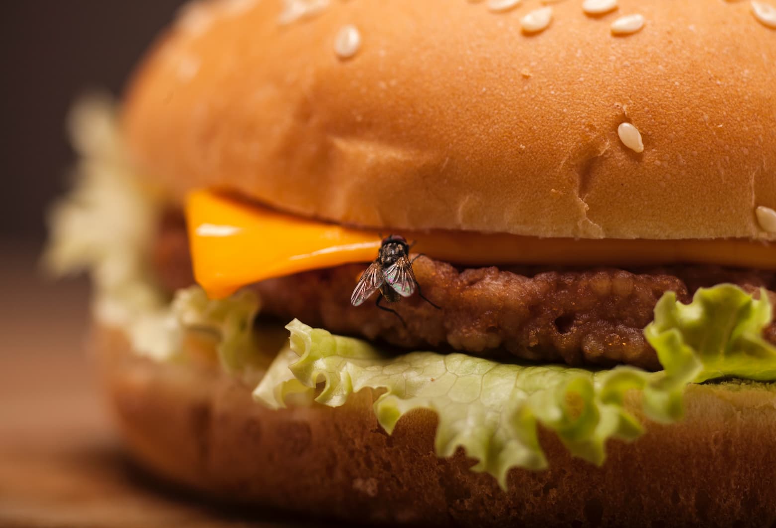 Restaurant Pest Control: Causes, Signs, Prevention Tips for Pest ...