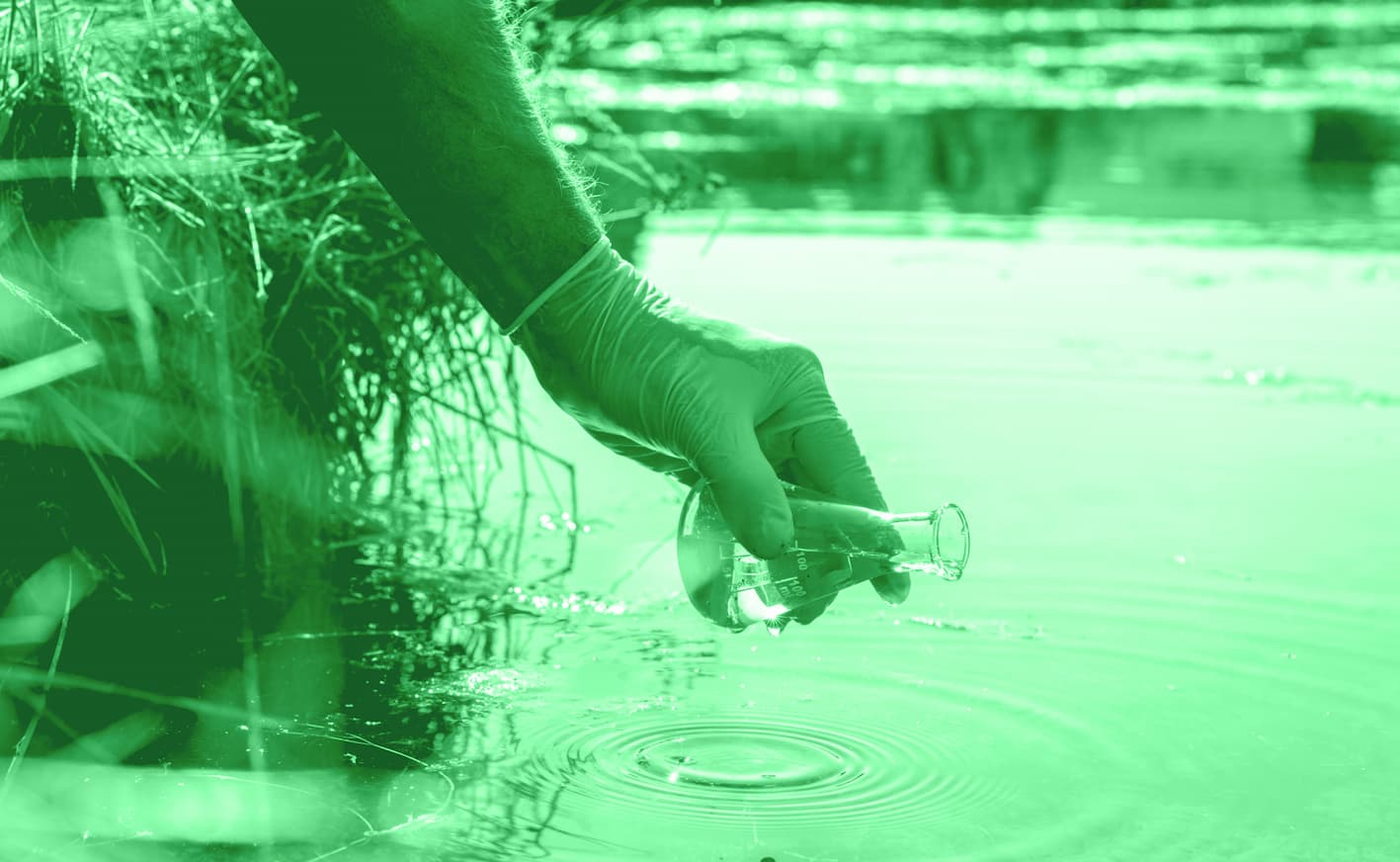 Chemical Contamination in Food: Top 5 Examples, Sources, and More