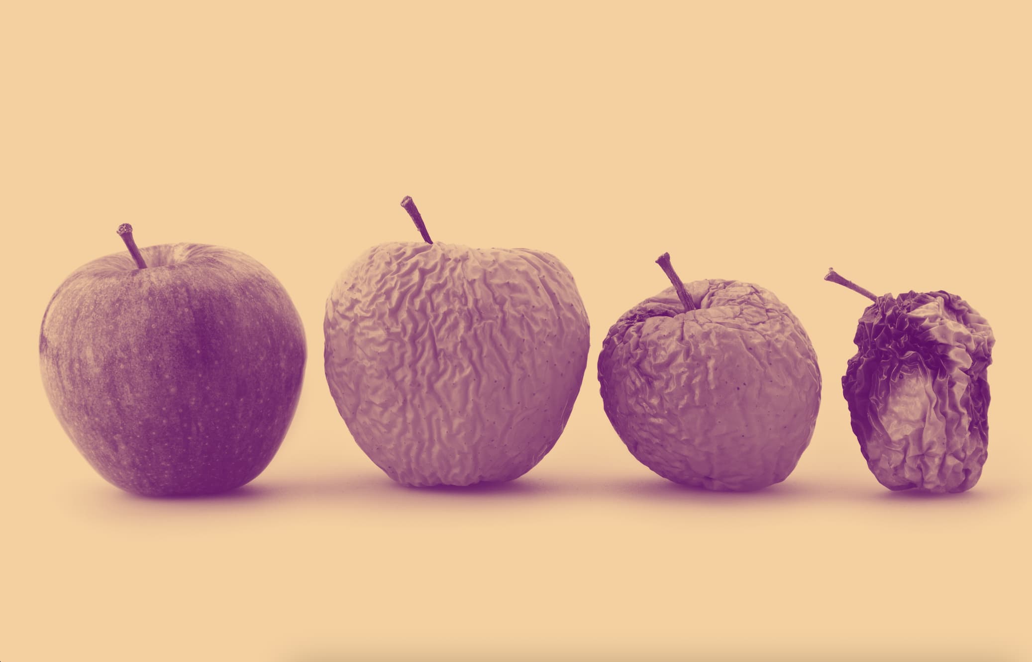 What is Food Contamination? Cause & Tips to Prevent Food Contamination