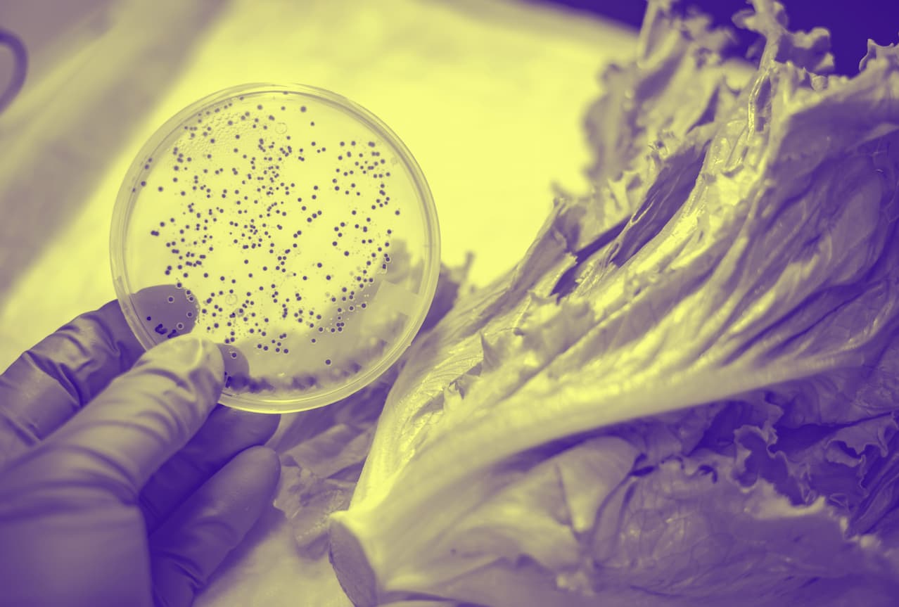 Understanding Food Pathogens: How to Prevent Foodborne Pathogens