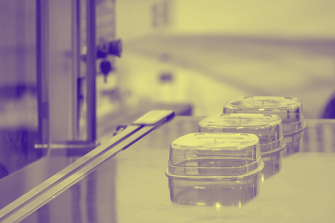 Is PLA Food Safe? Understanding Its Toxicity and Use in 3D Printing